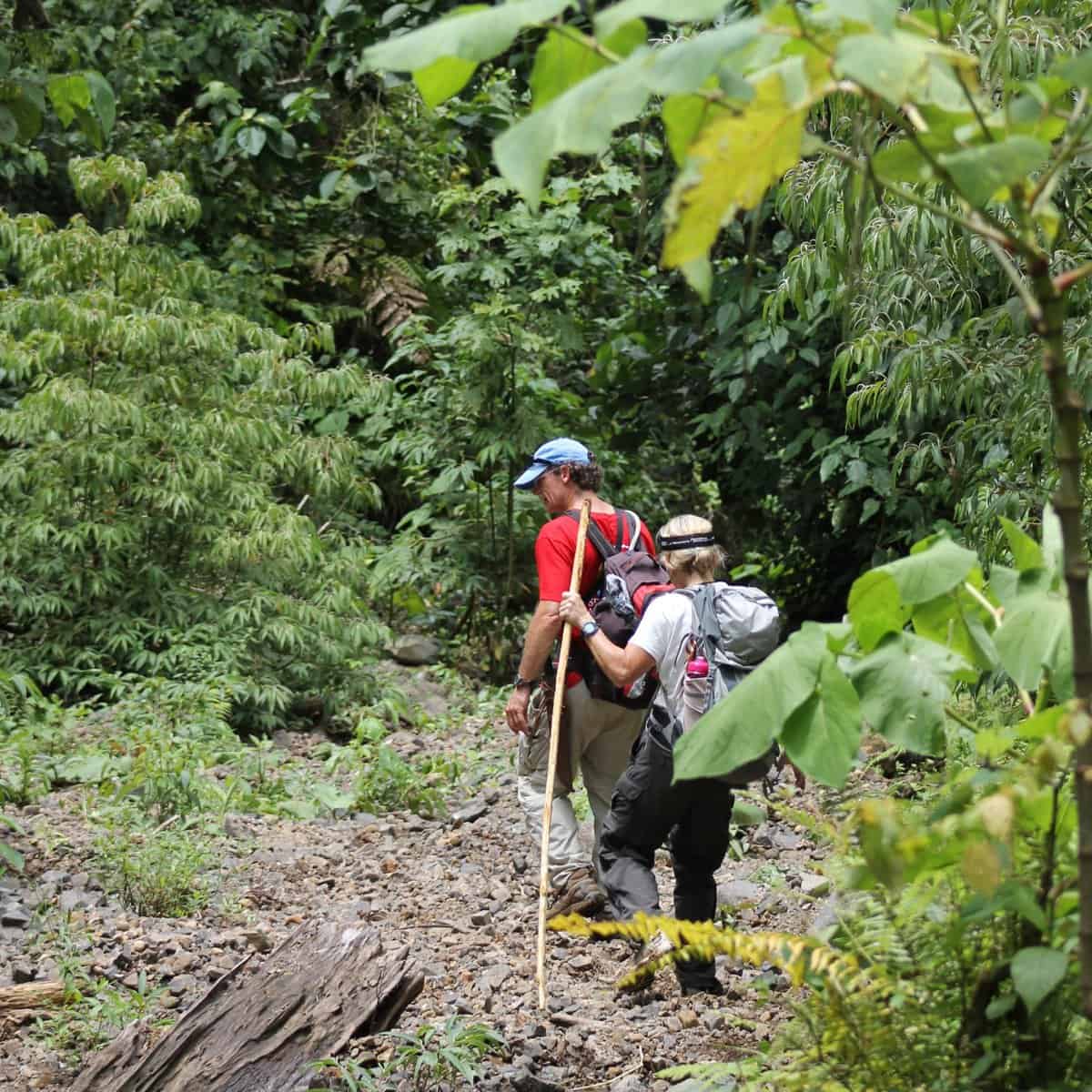 Hiking in Costa Rica - Serendipity Adventures