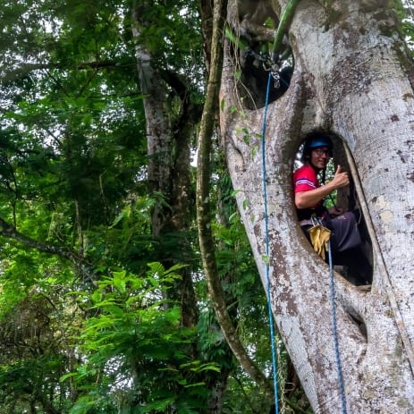 Tree Climbing - Serendipity Adventures
